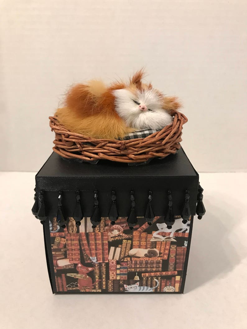 Sleepy Furry Cat Memory Scrapbox - Etsy