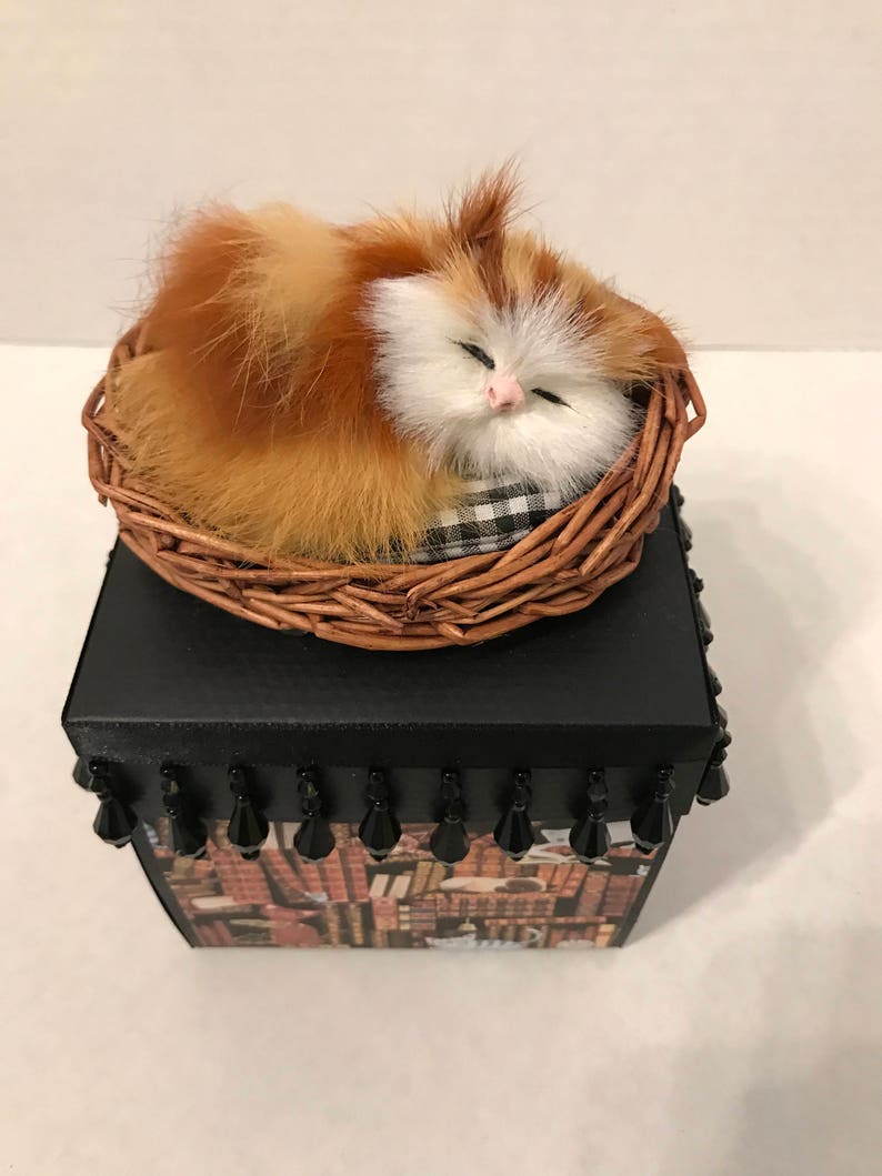 Sleepy Furry Cat Memory Scrapbox - Etsy