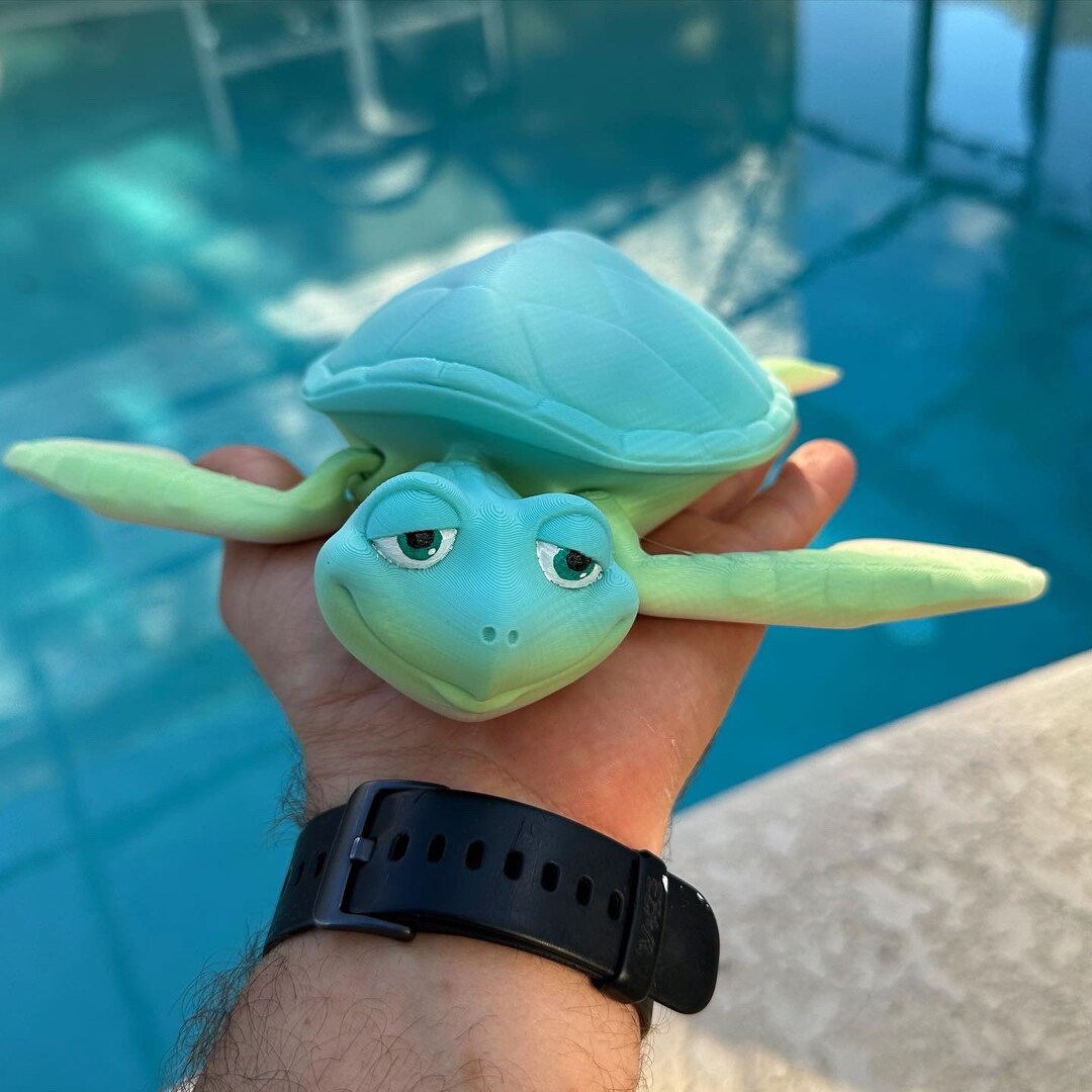 3D Printed Turtle - Etsy Australia