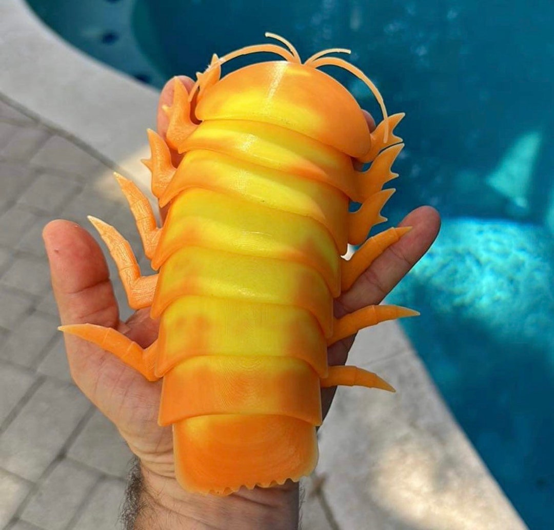 3D Printed Isopod /roly Poly - Etsy