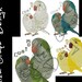 Quaker Parrot CROSS STITCH Pattern - Etsy