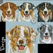Australian Shepherd CROSS STITCH Pattern, CROCHET Graphghan Blanket ...