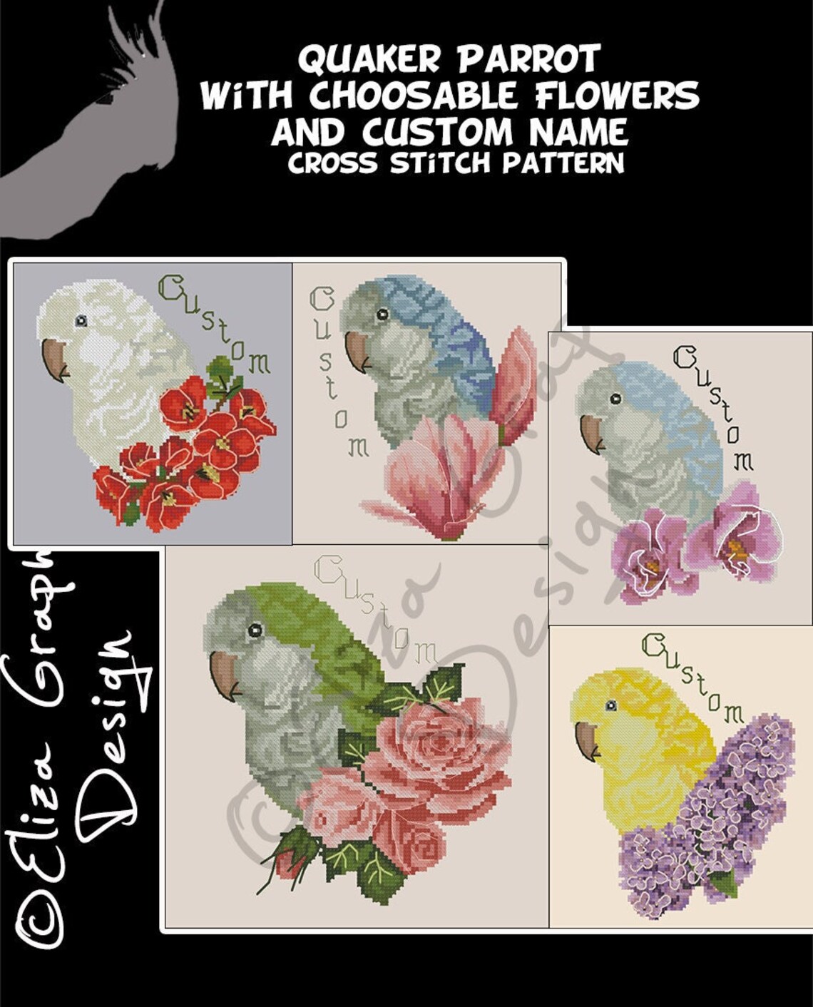 Custom Quaker Parrot Cross Stitch Pattern, With Chooseable Flowers and ...