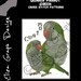 Quaker Parrot CROSS STITCH Pattern - Etsy