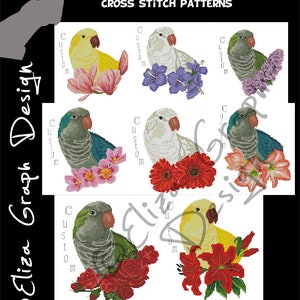 Custom Quaker Parrot Cross Stitch Pattern, With Chooseable Flowers and ...