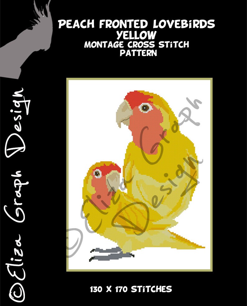 Lovebird Parrot CROSS STITCH Pattern Parakeet Counted Cross - Etsy