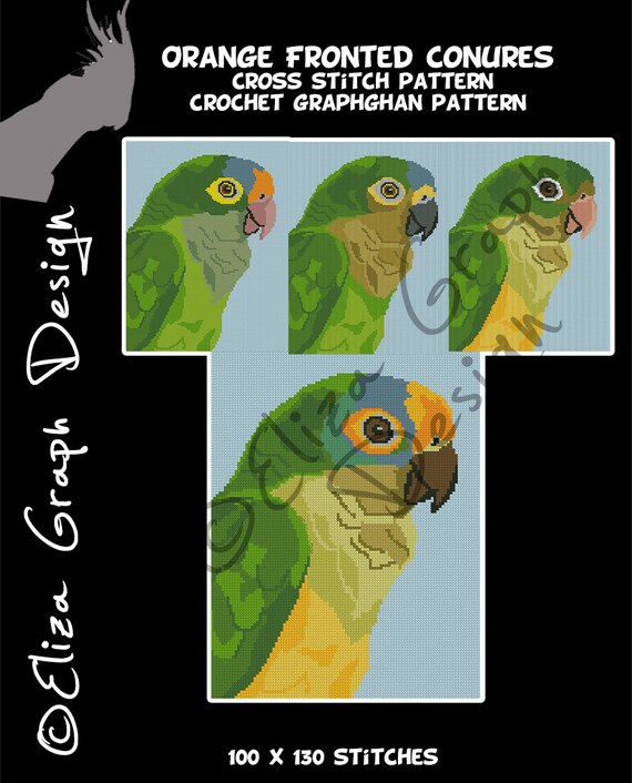 Peach-fronted Parakeet CROSS STITCH Pattern Orange Fronted - Etsy