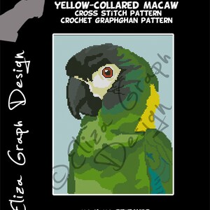 Mini Macaws: Blue-winged Macaw, Red-shouldered, Golden-collared ...