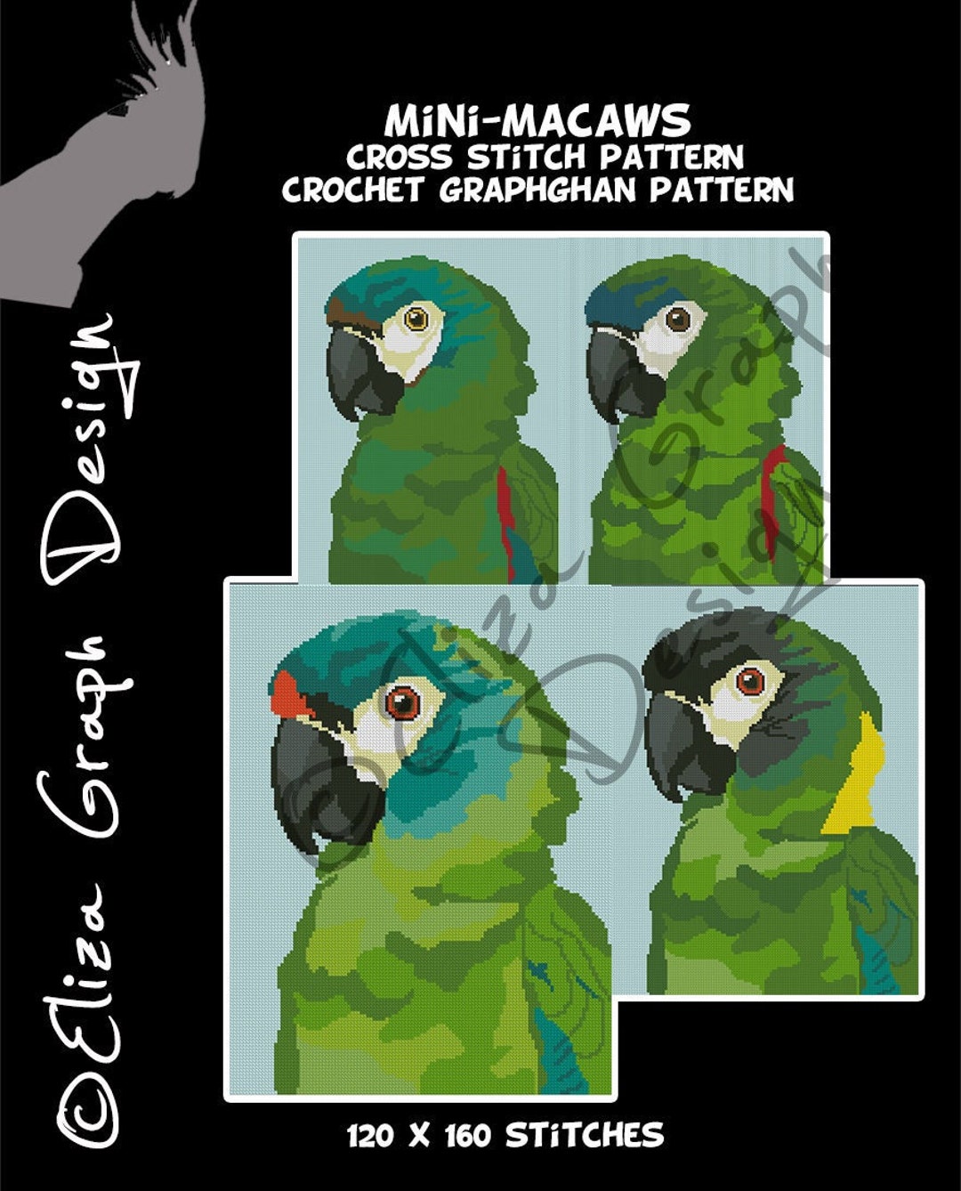 Mini Macaws: Blue-winged Macaw, Red-shouldered, Golden-collared ...