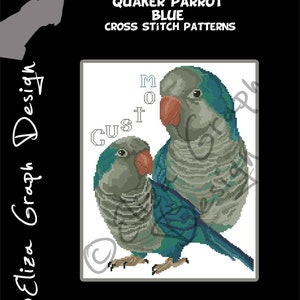 Quaker Parrot CROSS STITCH Pattern - Etsy