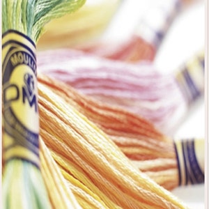 DMC COLOUR VARIATIONS Embroidery Stranded Cotton Thread Floss Skein Art 417 - Etsy UK