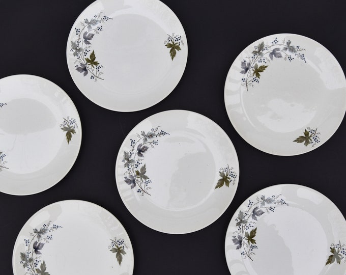 Six 6 vintage Crown Lynn Side Bread & Butter Plates, Leafy Vine Motif ...