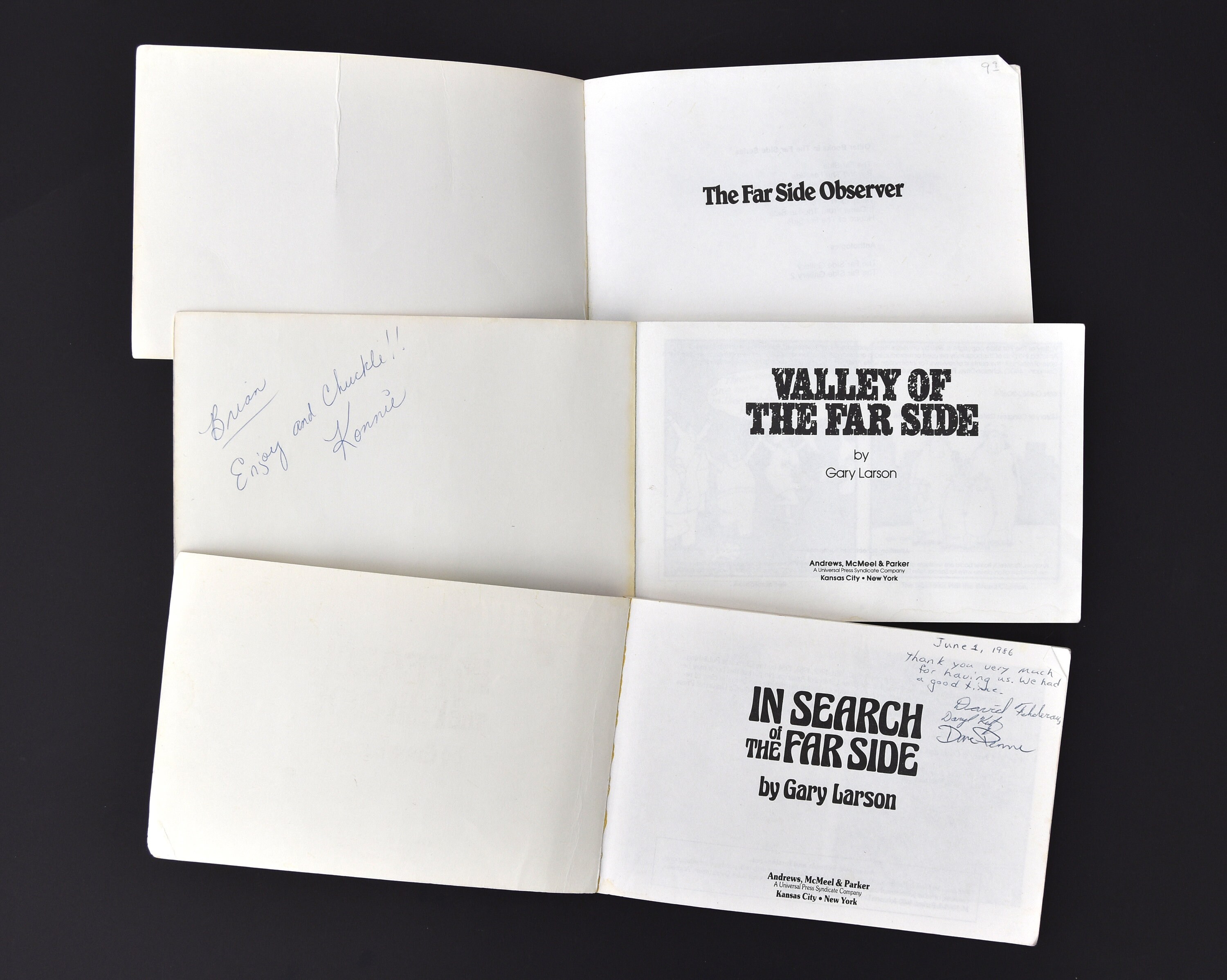 The Far Side Observer Valley of the Far Side in Search of | Etsy