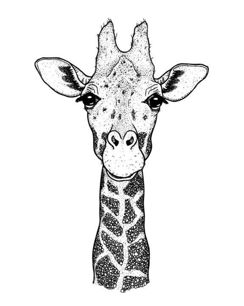 Giraffe Fine Art Print: Handrawn, 8x10, Original Drawing, Animal Print ...