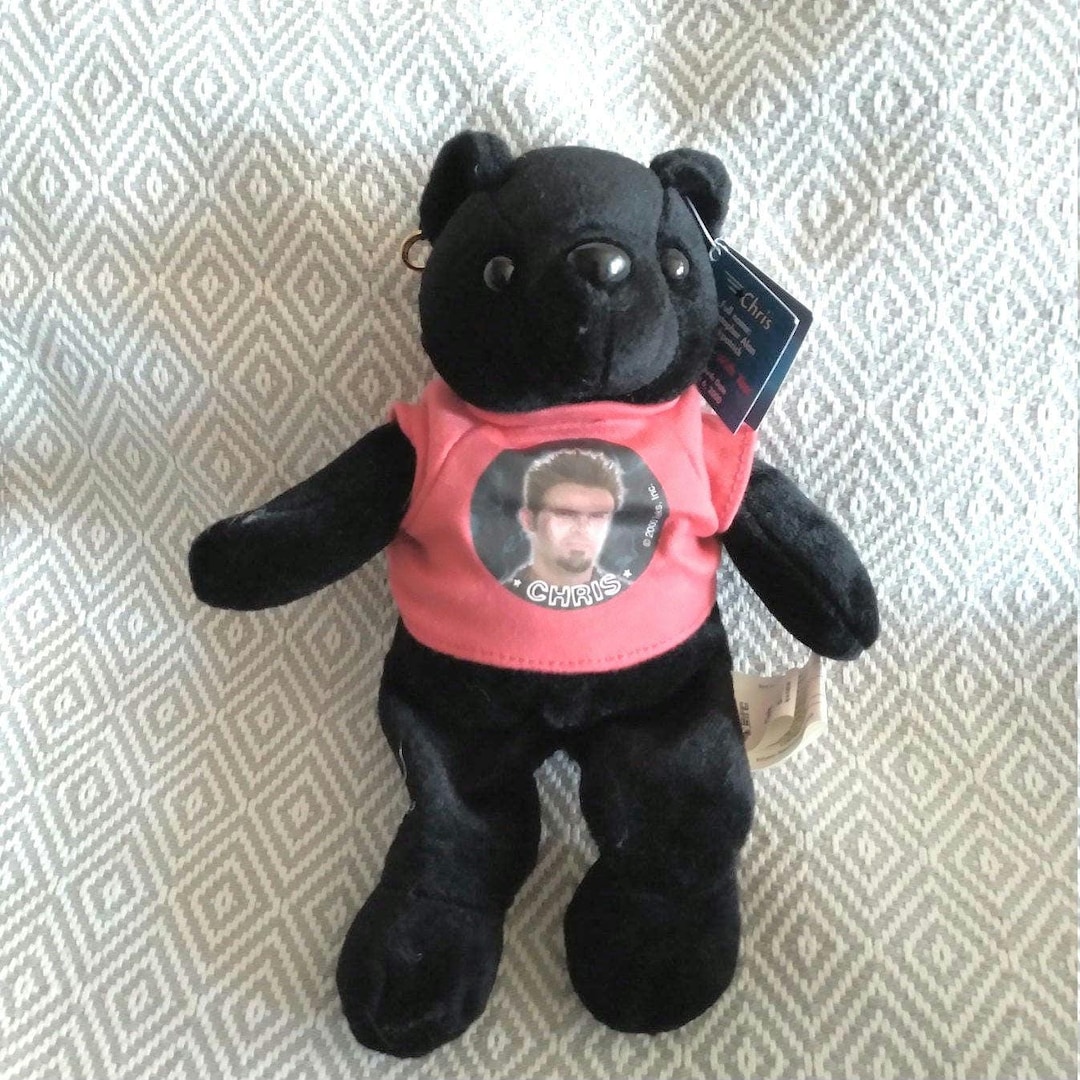 Limited Edition Rare Bear Nsync Chris Beanie Bear - Chris Kirkpatrick ...