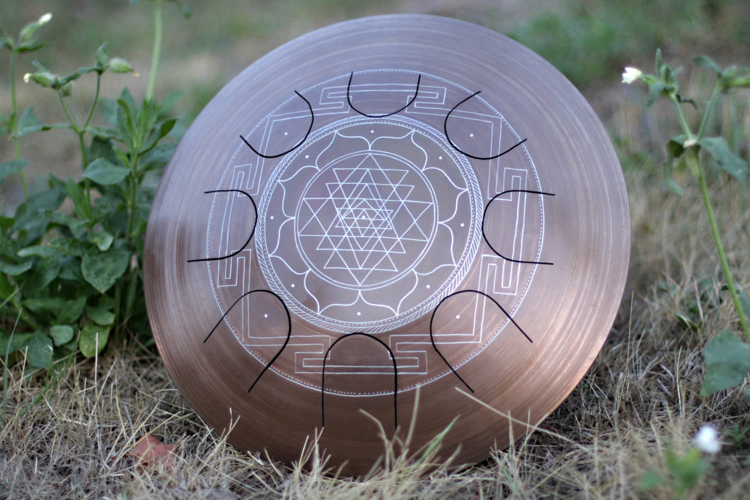 Freezbee Drum. Handpan Pantam Steel Tongue Drum - Etsy