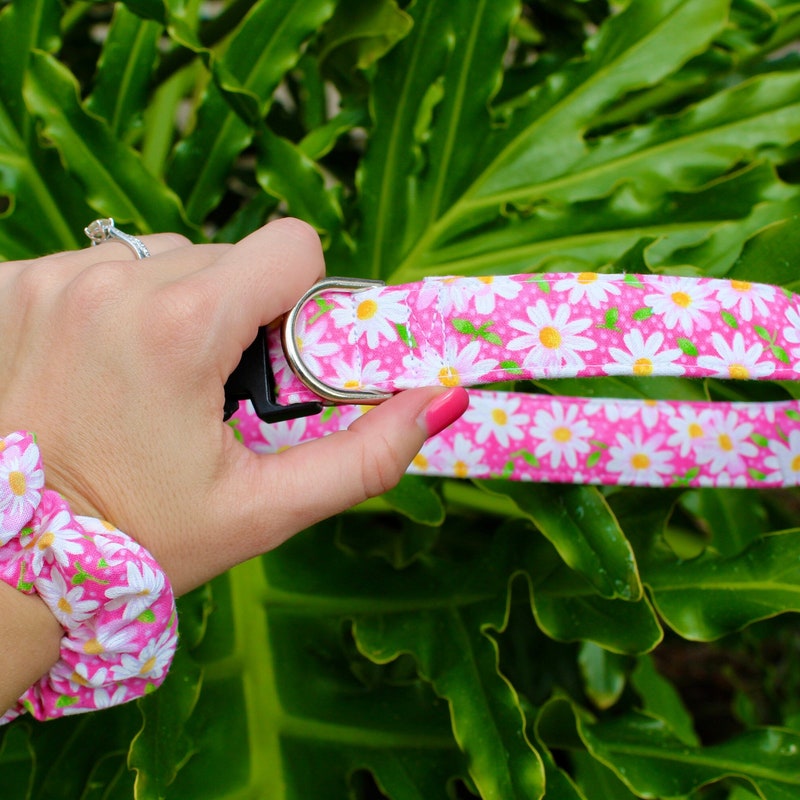 Daisy Dog Collar - Etsy