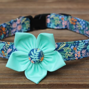 Cute Dog Harness - Personalized Harness - Female Dog Harness ...