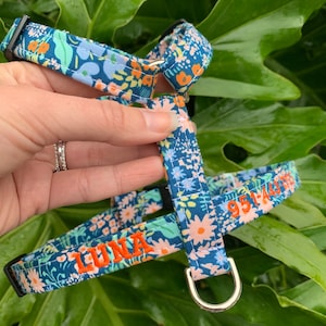 Cute Dog Harness - Personalized Harness - Female Dog Harness ...