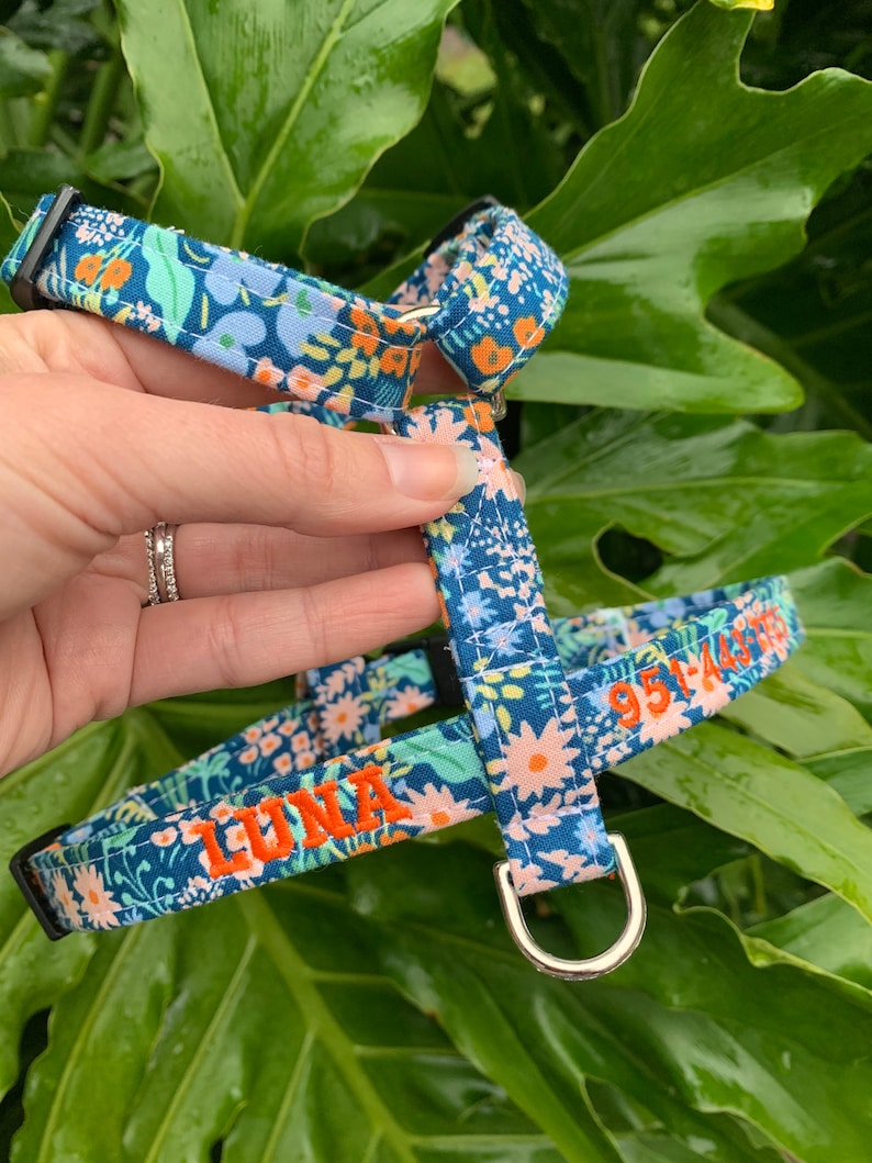 Cute Dog Harness Personalized Harness Female Dog Harness - Etsy