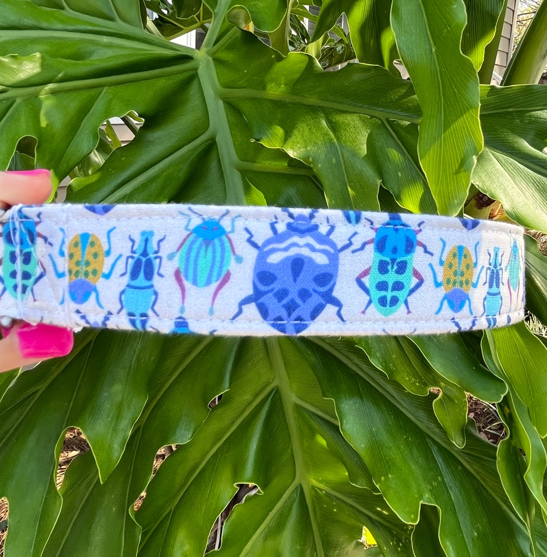 Bug Dog Collar - Insect Dog Collar - Spring Dog Collar - Dog's Name ...