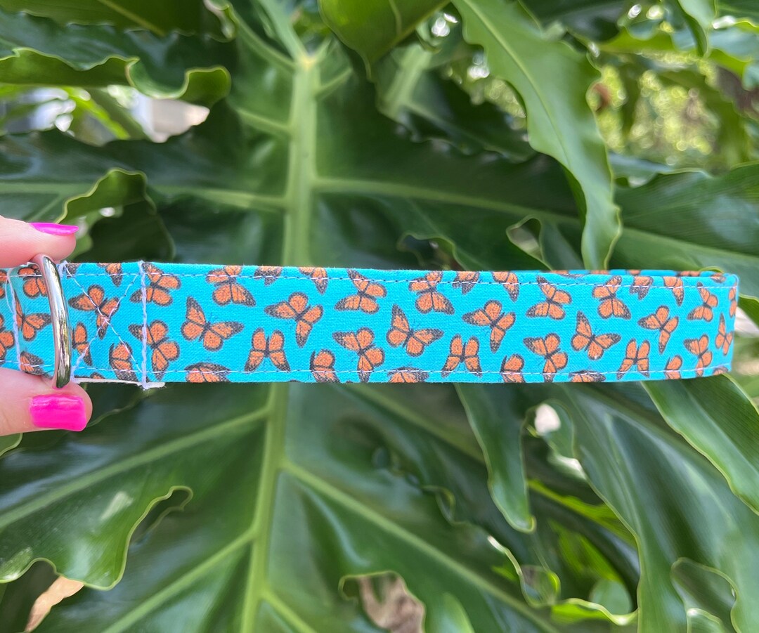 Monarch Butterfly Dog Collar - Embroidered Dog Collar - Spring Dog ...