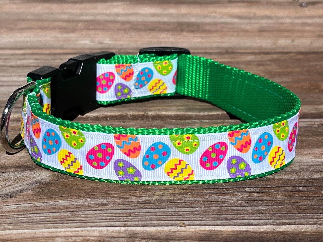Easter Egg Dog Collar - Easter Dog Collar - Personalized Dog Collar ...