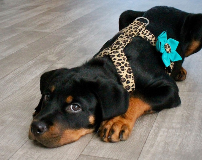 Leopard Print Dog Harness Personalized Dog Harness Jaguar | Etsy
