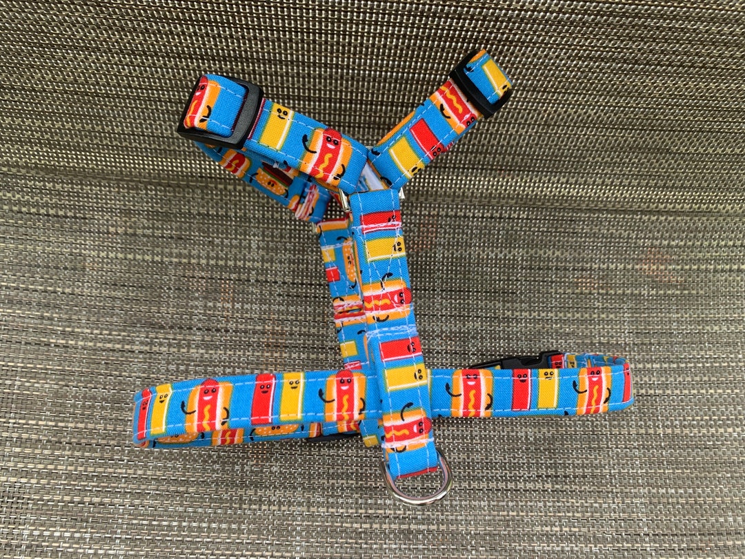 Boy Dog Harness Summer Dog Harness Funny Dog Harness Monogrammed ...