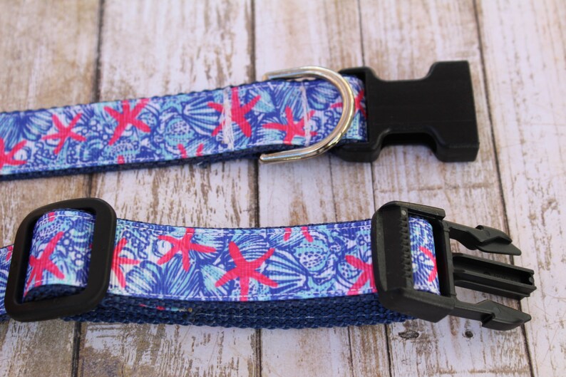 Starfish Dog Collar - Personalized Dog Collar - Nautical Dog Collar ...