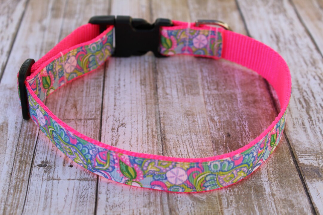 Sand Dollar Dog Collar - Designer Inspired Dog Collar - Beach Dog ...