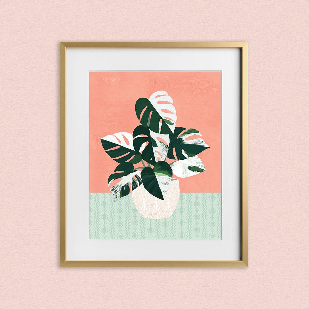 Variegated Monstera Illustrated Houseplant Art Print - Etsy