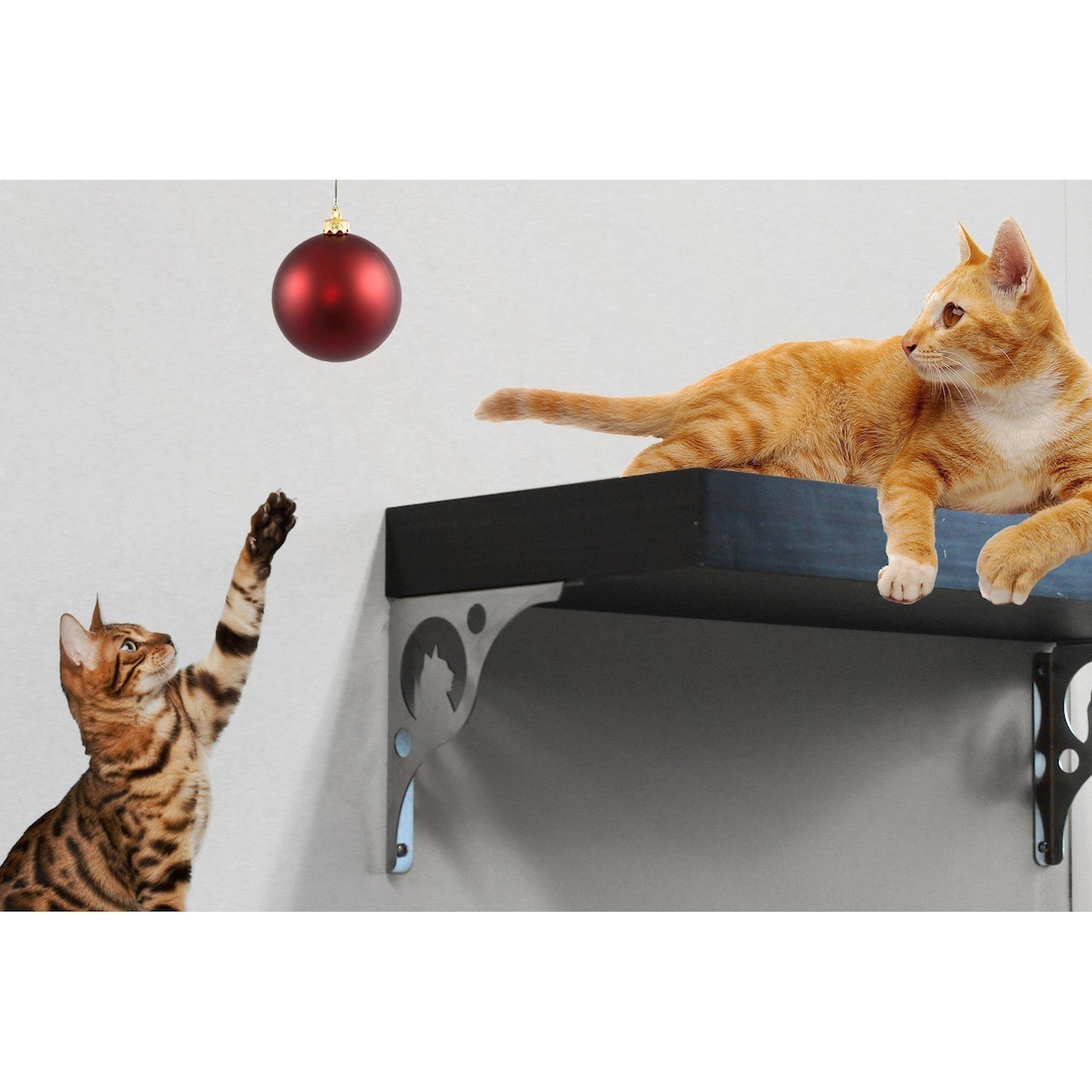 Cat Shelf Stainless Steel Brackets - Helping Animal Shelters - Etsy