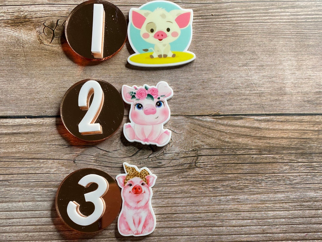 Planar- Flatback Planar- Planars- Flatback- Charms- Epoxy Charms- Pigs ...