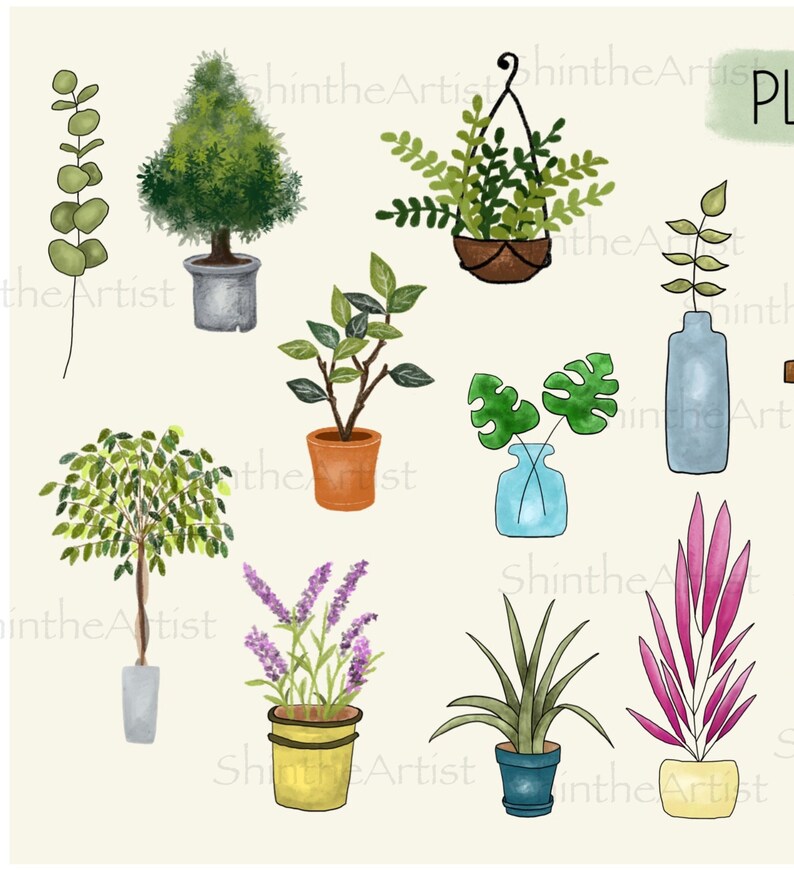 PLANT, Digital Stickers - Hand Drawn, Pre-cropped Pngs, Goodnotes ...