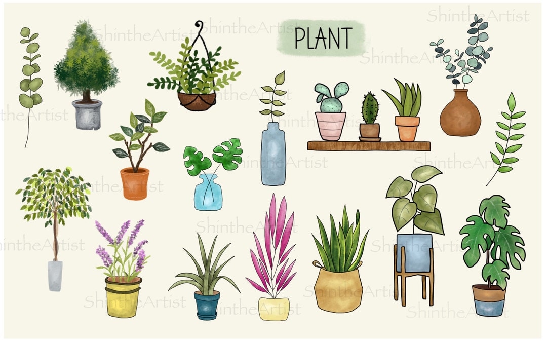 PLANT, Digital Stickers - Hand Drawn, Pre-cropped Pngs, Goodnotes ...