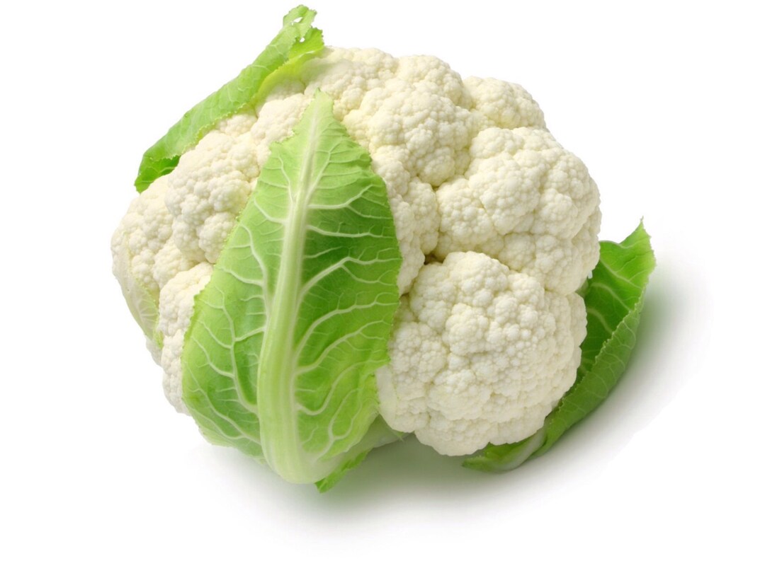 A4 Flash Card. PRINTABLE FLASHCARDS. Flash Cards. Vegetables Flashcards ...