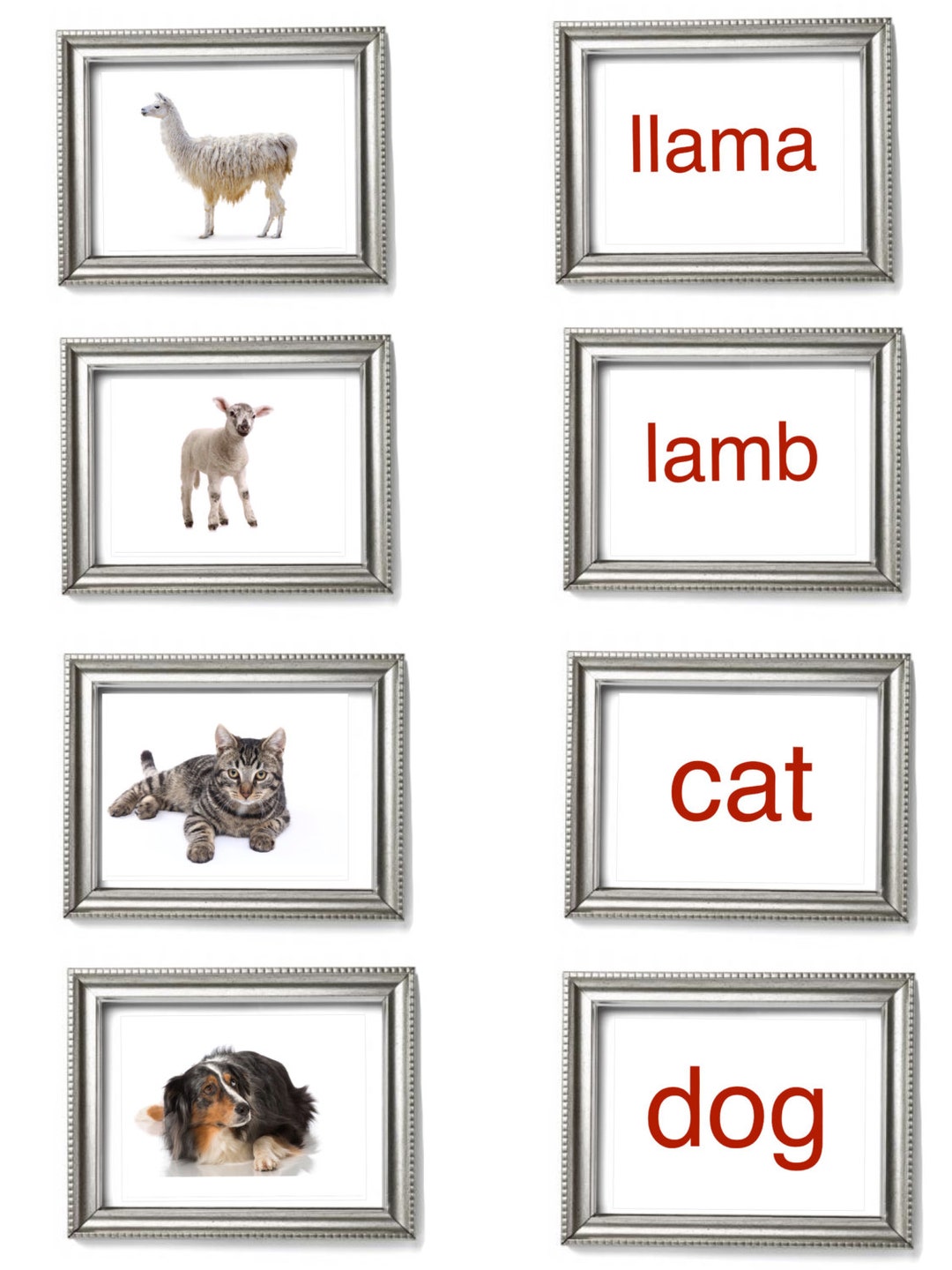 A4 Large Size Flashcards. Farm Animals Flash Cards. Digital Download ...