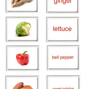 A4 Flash Card. PRINTABLE FLASHCARDS. Flash Cards. Vegetables Flashcards ...