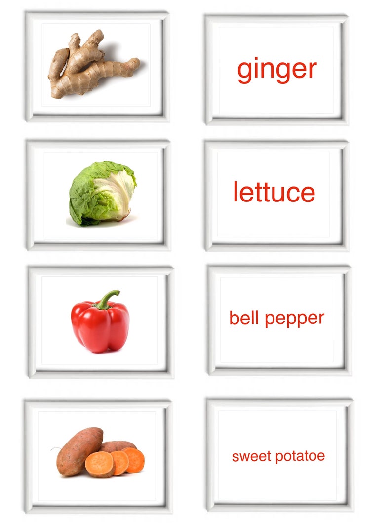 A4 Flash Card. PRINTABLE FLASHCARDS. Flash Cards. Vegetables Flashcards ...