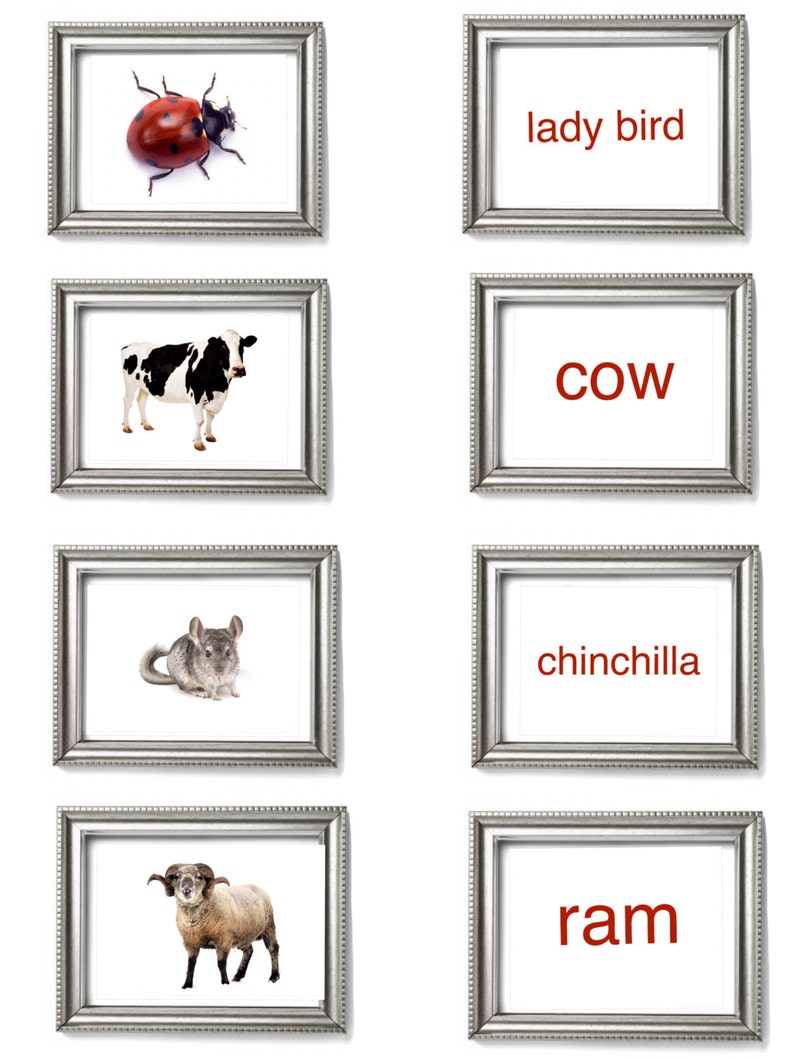 A4 Large Size Flashcards. Farm Animals Flash Cards. Digital | Etsy