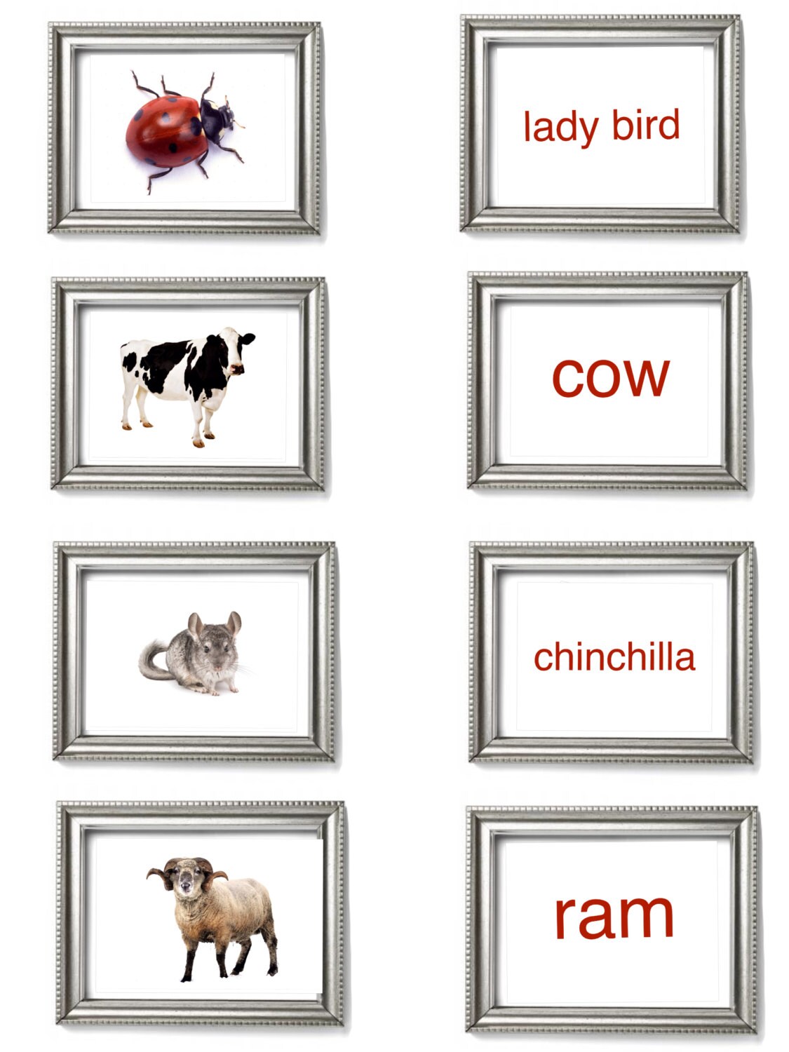 A4 Large Size Flashcards. Farm Animals Flash Cards. Digital Download ...
