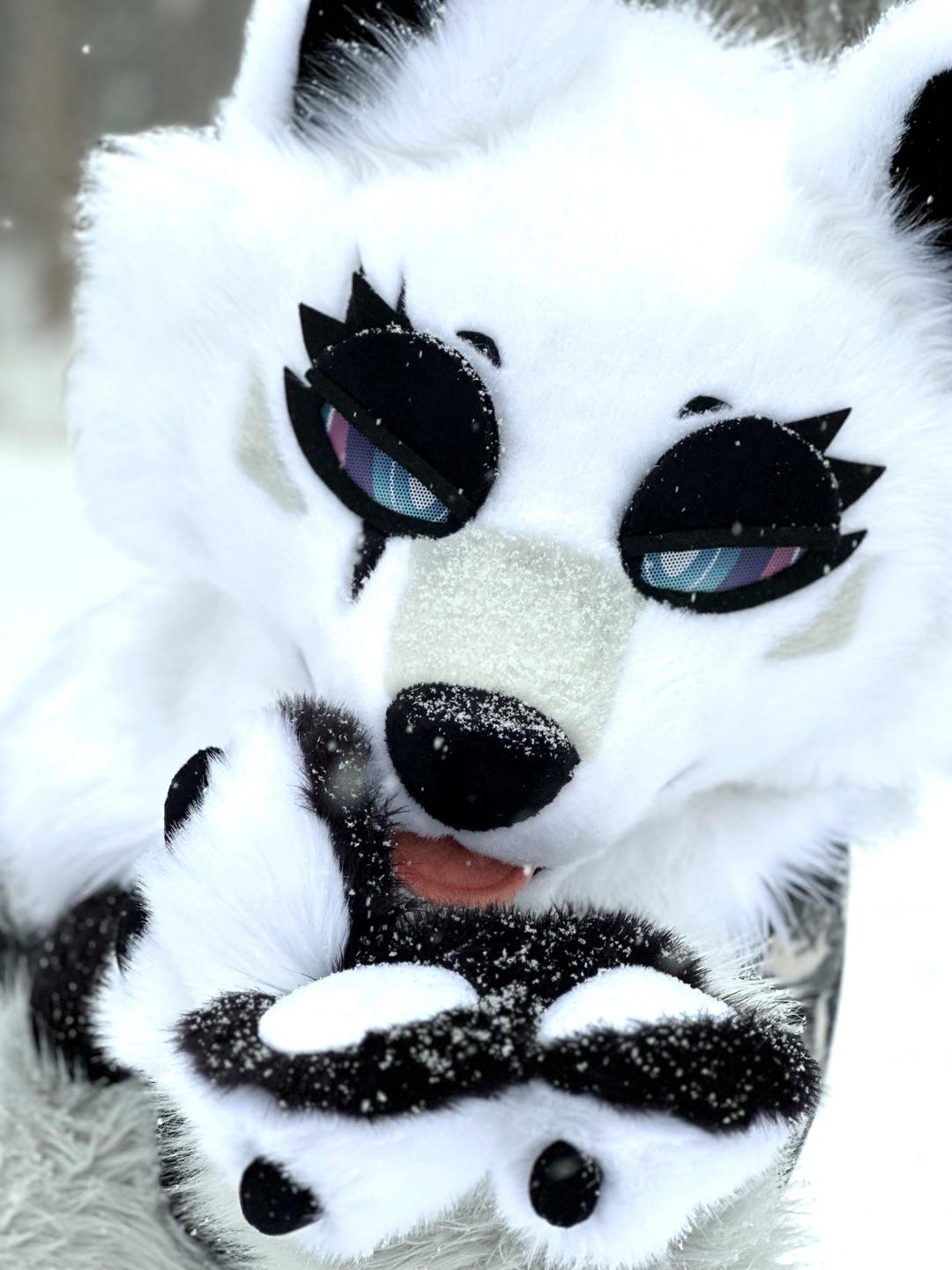 Wraith the White Wolf - NEW Fursuit Partial Ready to Ship and Wear ...