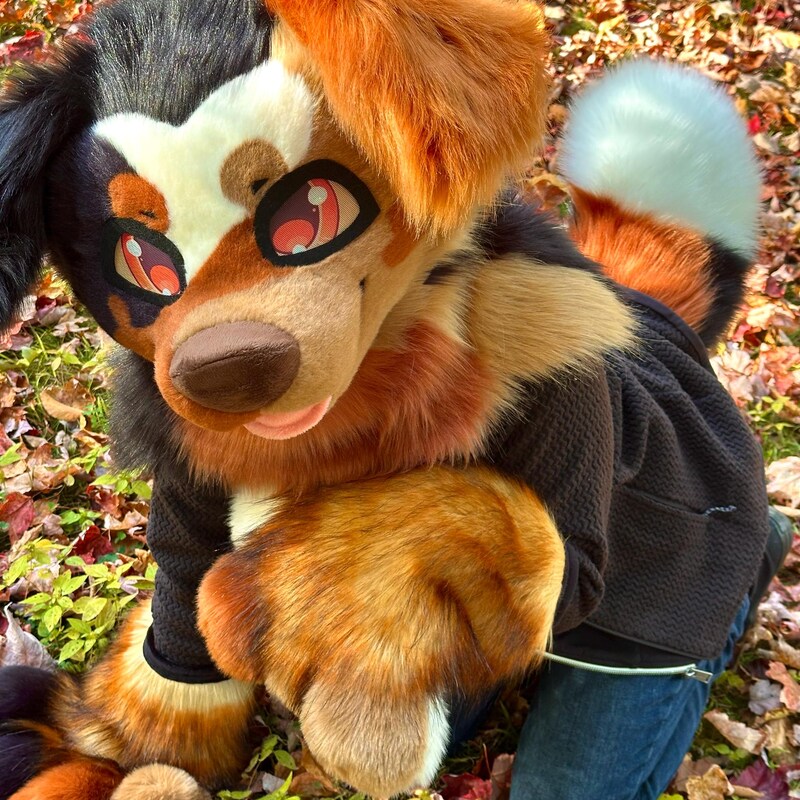 Fursuit - Etsy Australia