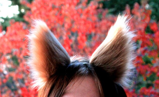 Any Color Fluffy Furry Fox Ears Wolf Dog Ears Cosplay Costume | Etsy