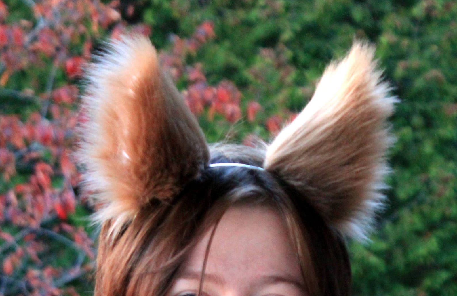 Any Color Fluffy Furry Fox Ears Wolf Dog Ears Cosplay Costume | Etsy