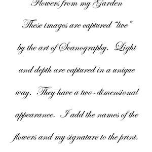Ismene 8"x10" Print - Etsy