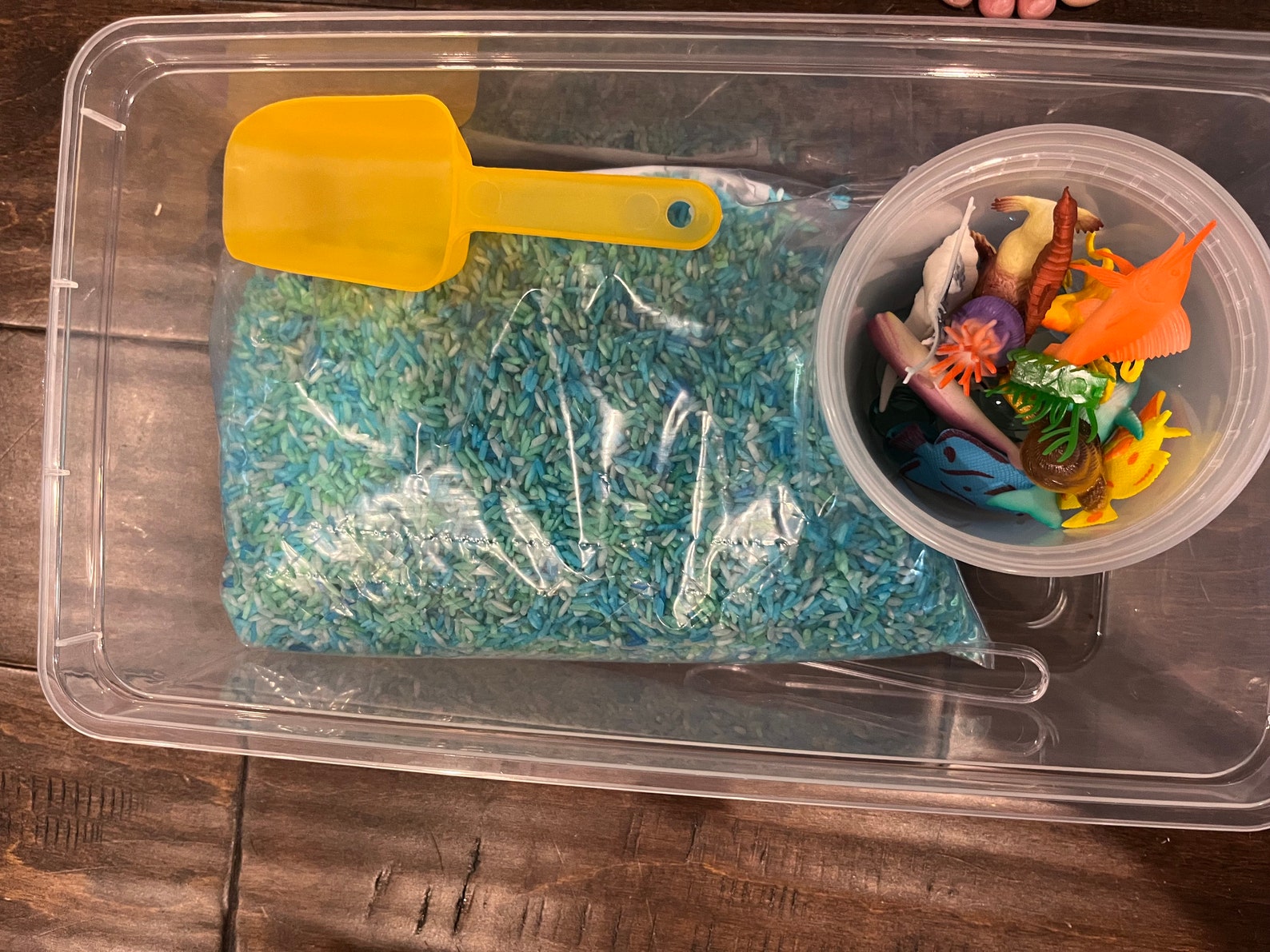 Under the Sea Sensory Rice Kit - Etsy