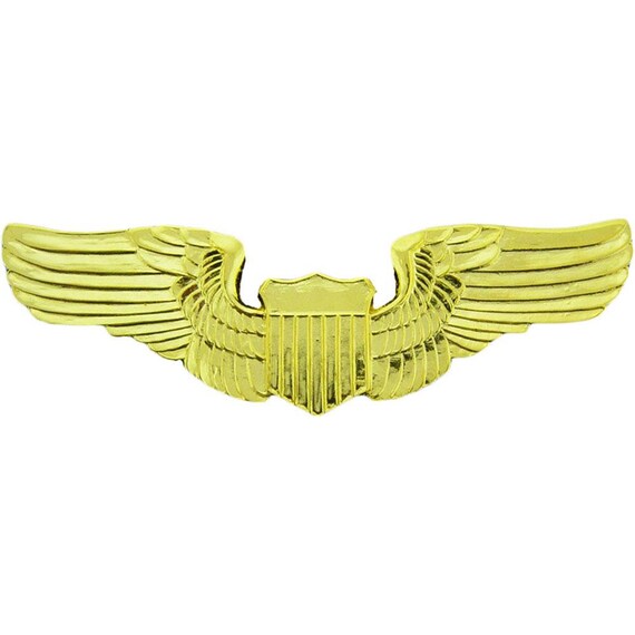 Flying Wings Pin