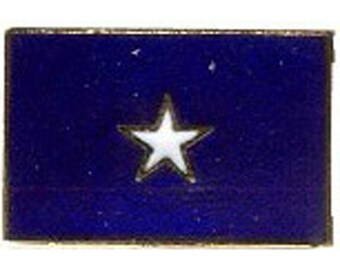 Bonnie Blue Flag Patch - Etsy